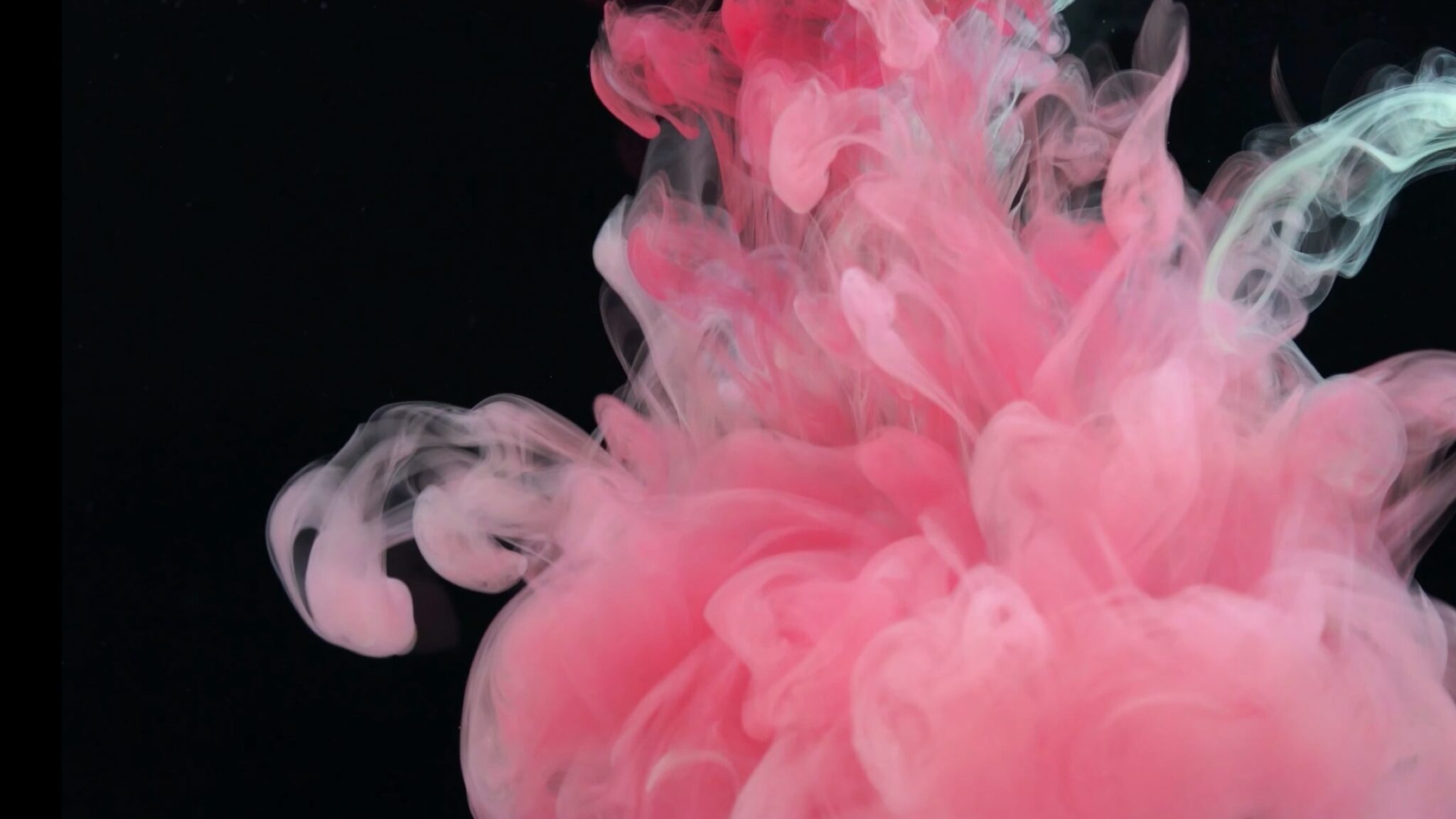 A new website for the University of Cambridge